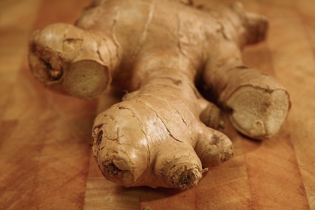Ginger | How to grow a ginger plant?