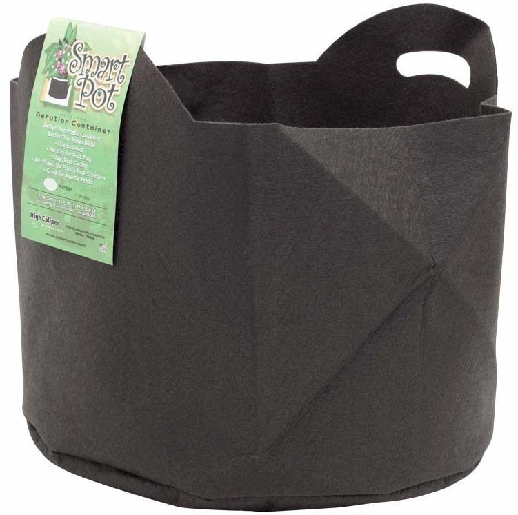 General | Growing in plastic containers.