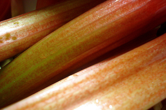 Rhubarb | Diseases and Pests, Description, Uses, Propagation