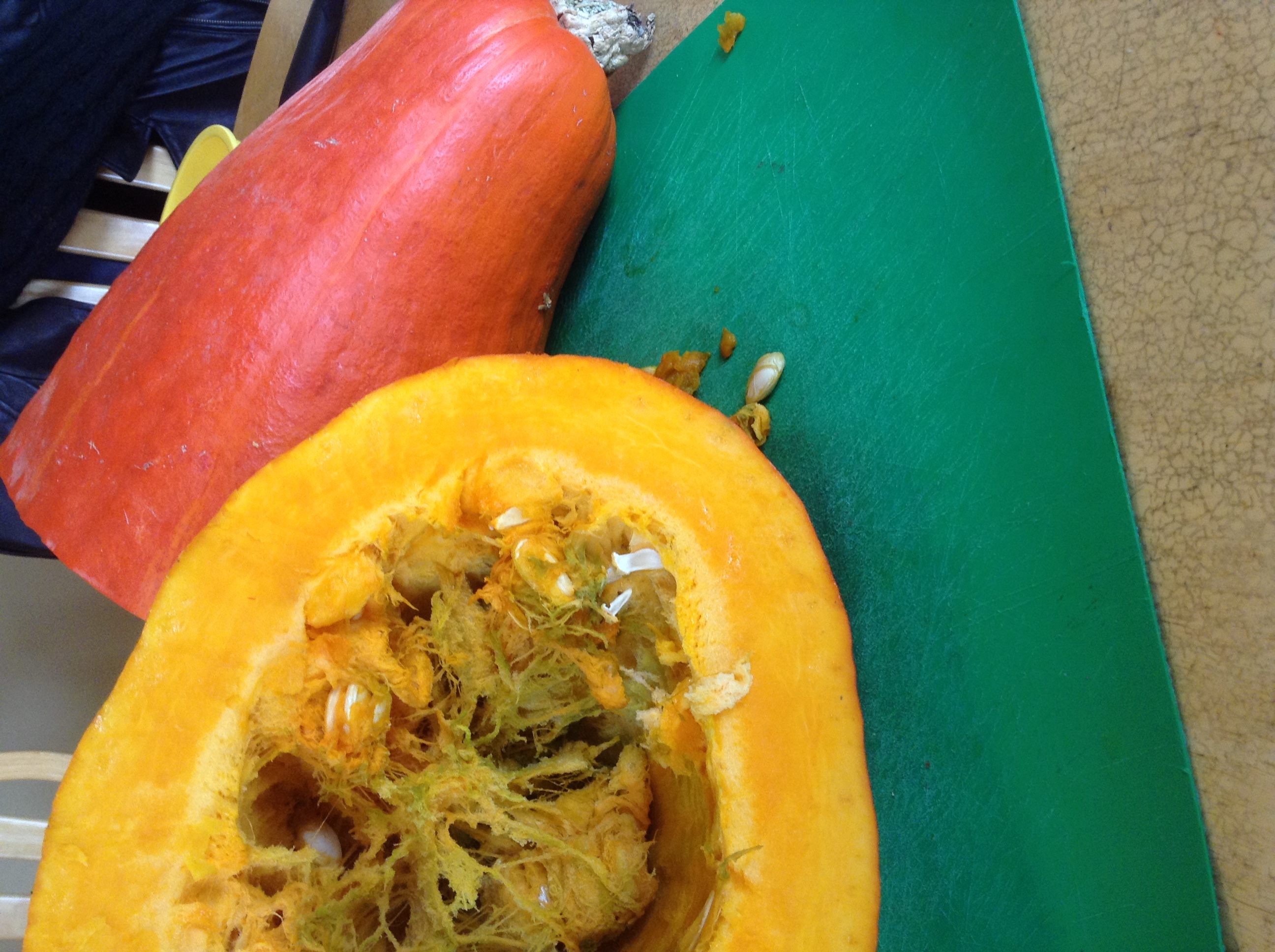 Squash | Hubbard squash mold?