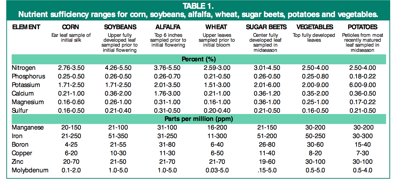 General | Iron and Magnesium required for vegetable crop