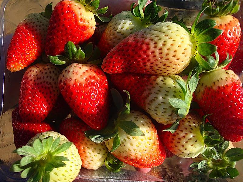 Strawberry | Semi-ripe strawberry