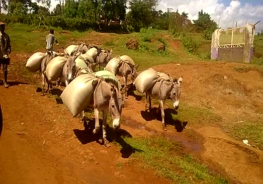 General | Nuru testing